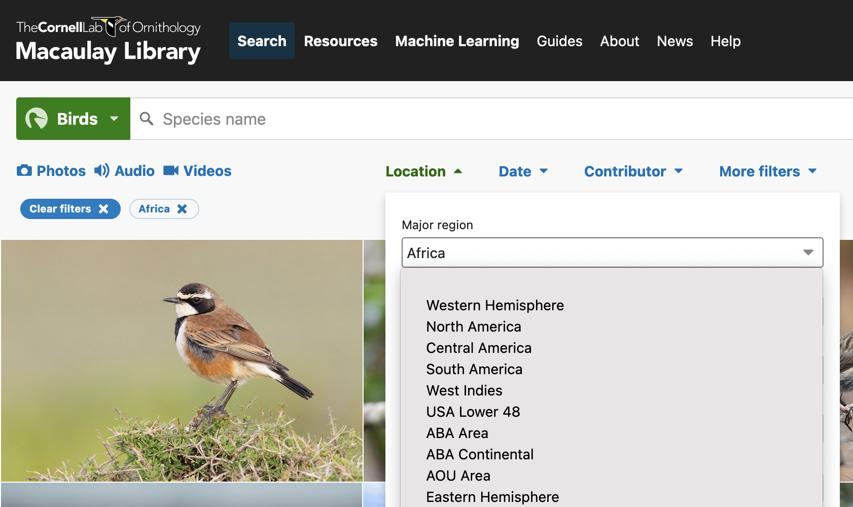 2023 Year in Review: eBird, Merlin, Macaulay Library, and Birds of the World - eBird