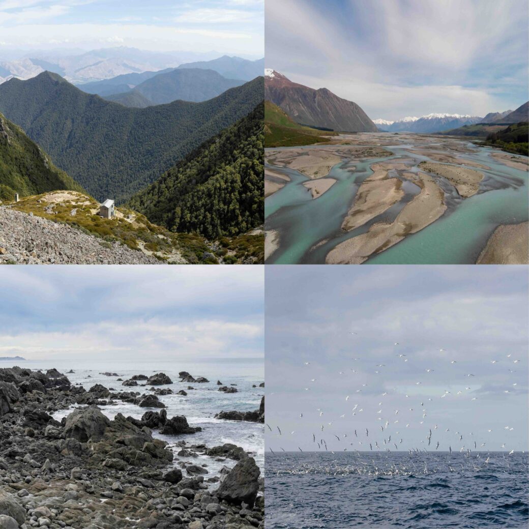 eBird Reviewer Spotlight: Dan Burgin - eBird