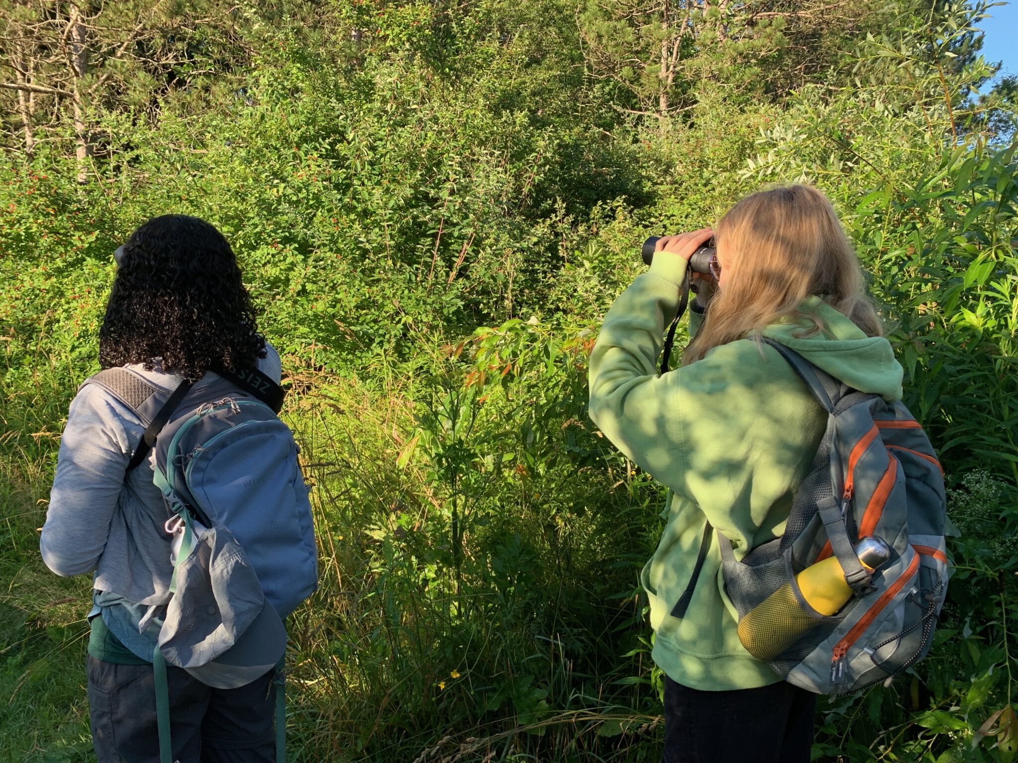 Young Birders Event 2024 Recap - eBird