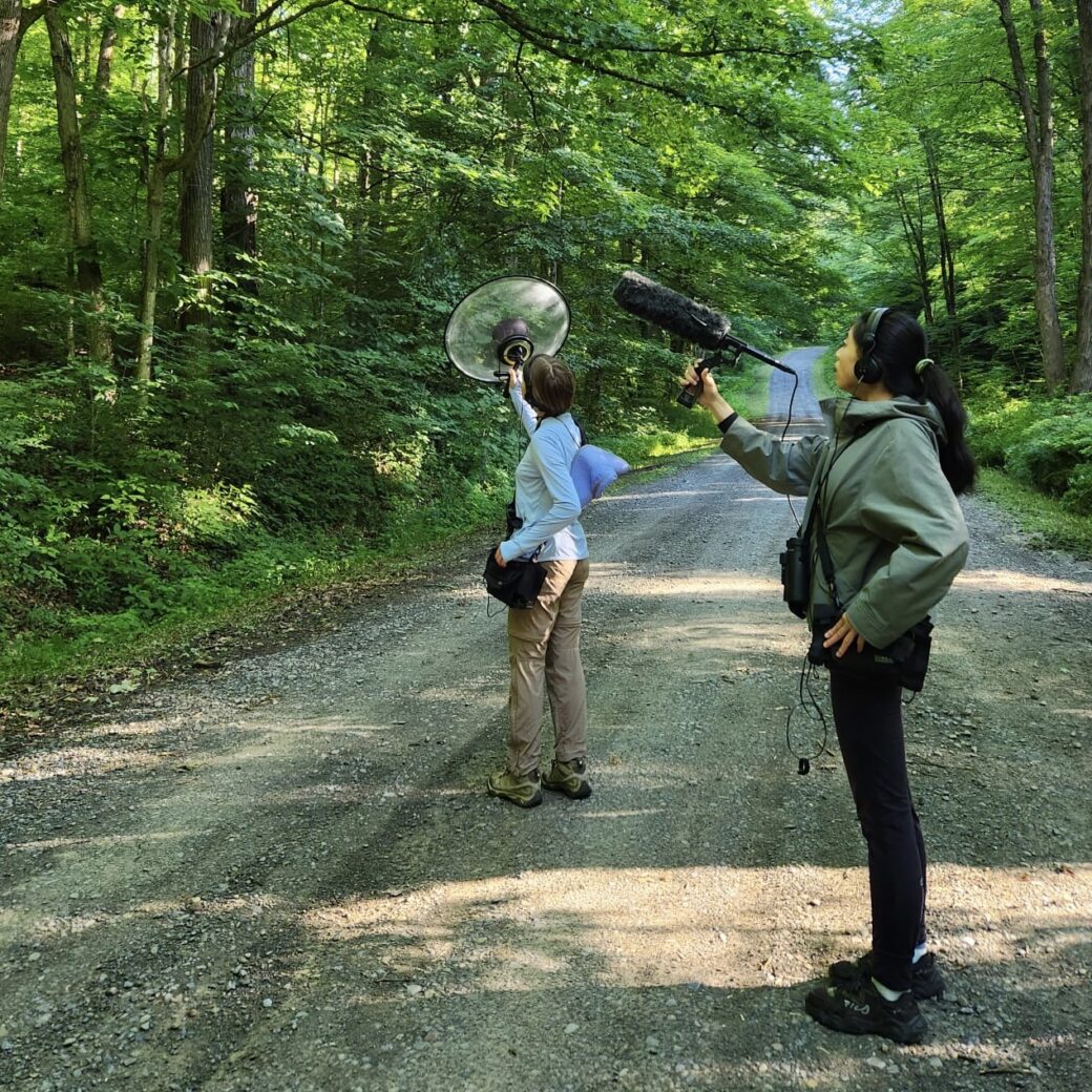 eBird - Discover a new world of birding...