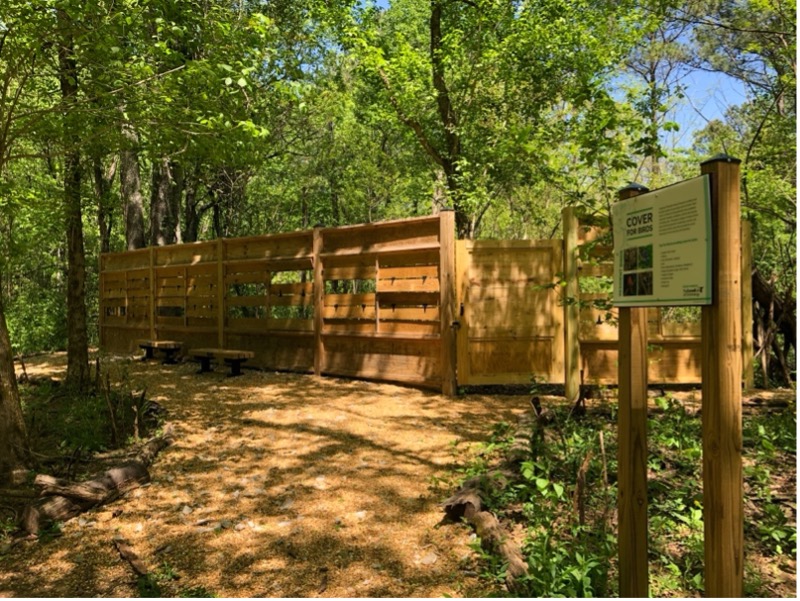 eBird in Action: Building a Community of Bird Enthusiasts through ...