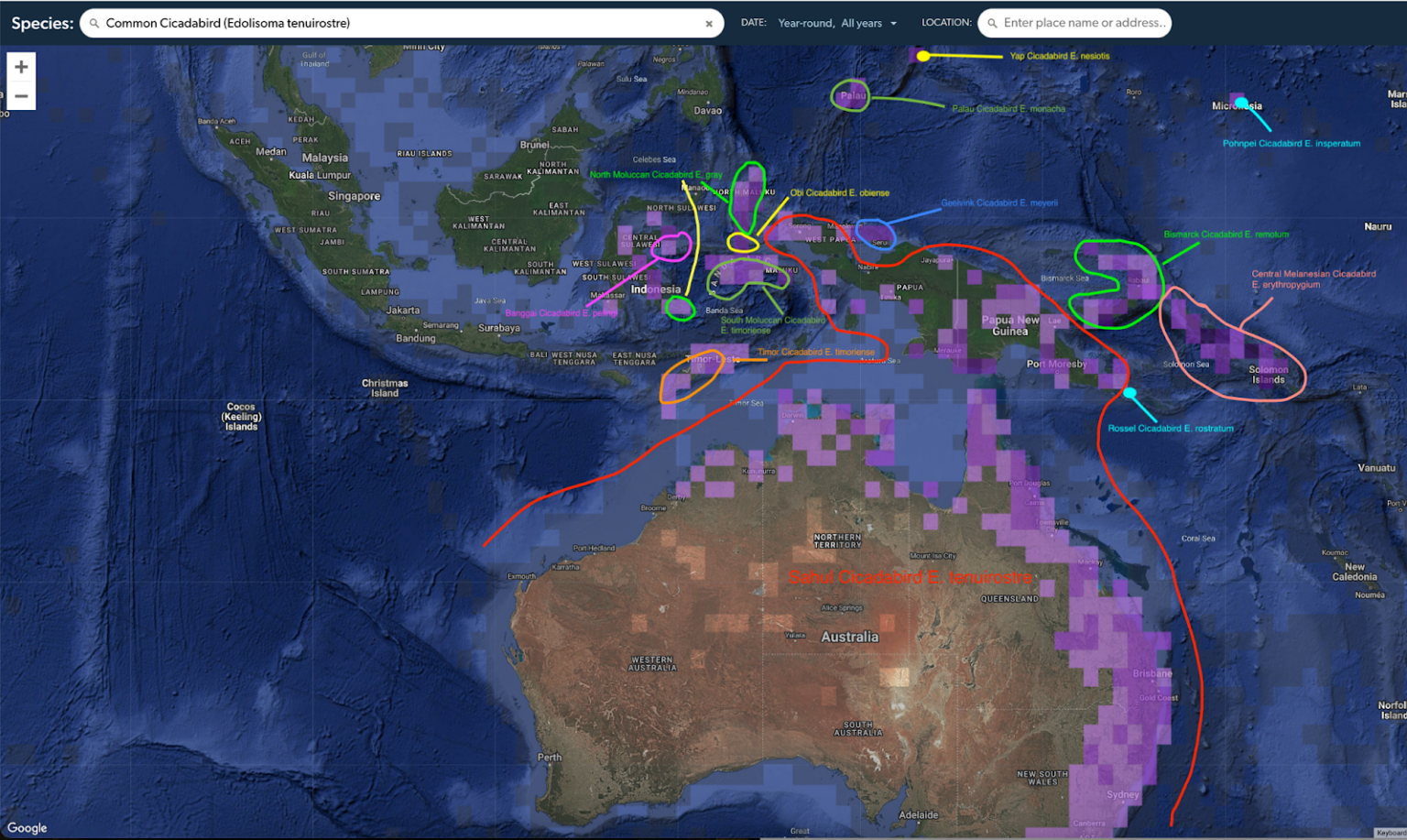 2024 eBird Taxonomy Update - eBird Science