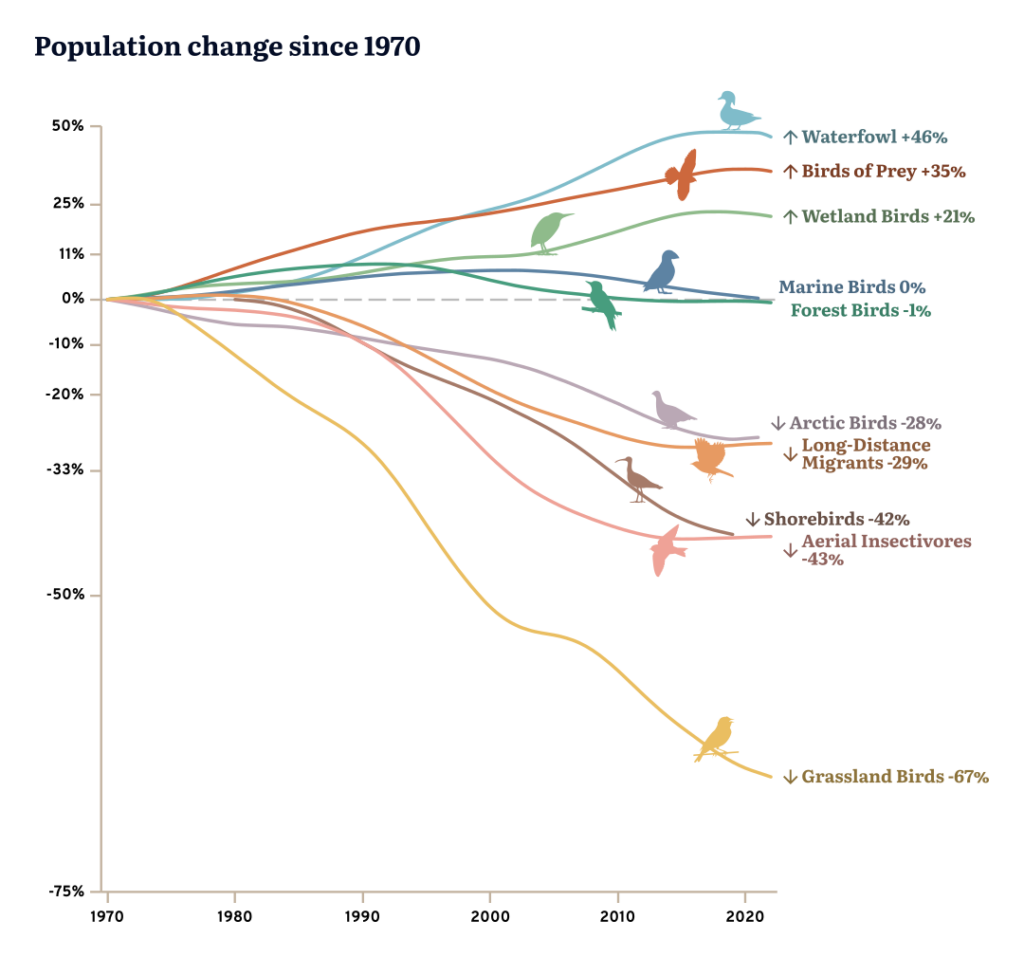eBird in Action: The 2024 State of Canada’s Birds - eBird