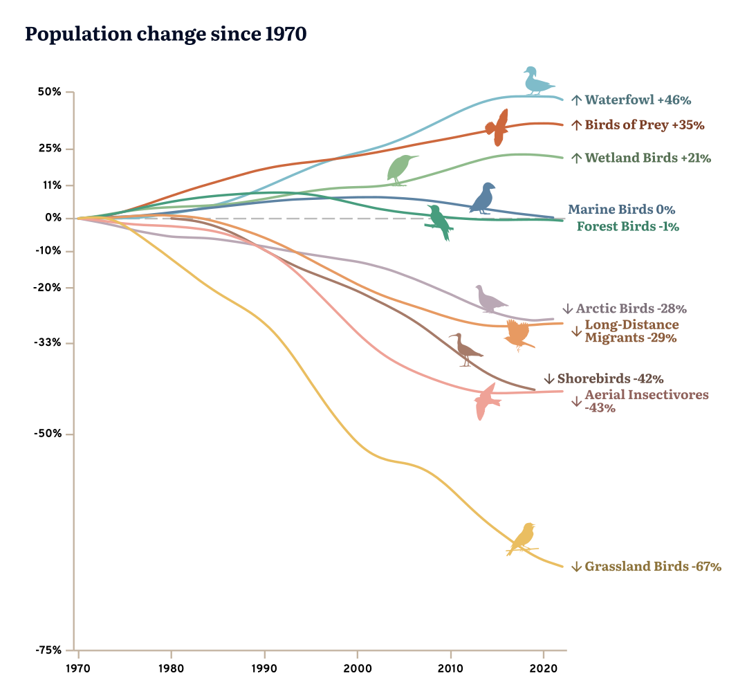 eBird in Action: The 2024 State of Canada’s Birds - eBird