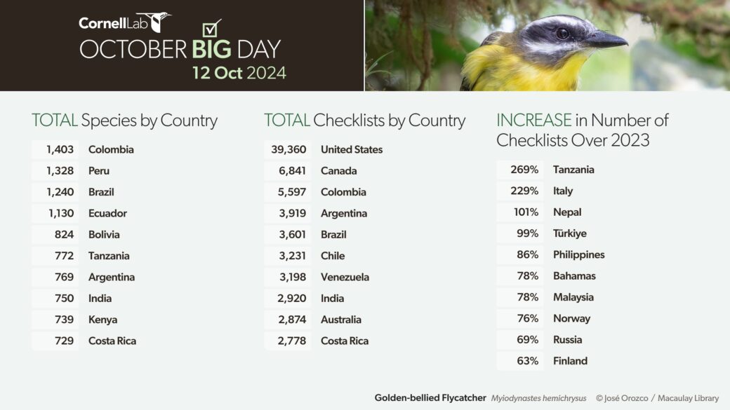 October Big Day 2024: Global Birding, Global Impact - eBird