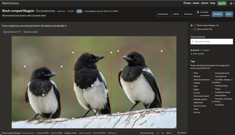 Merlin's Photo ID has a new update - eBird