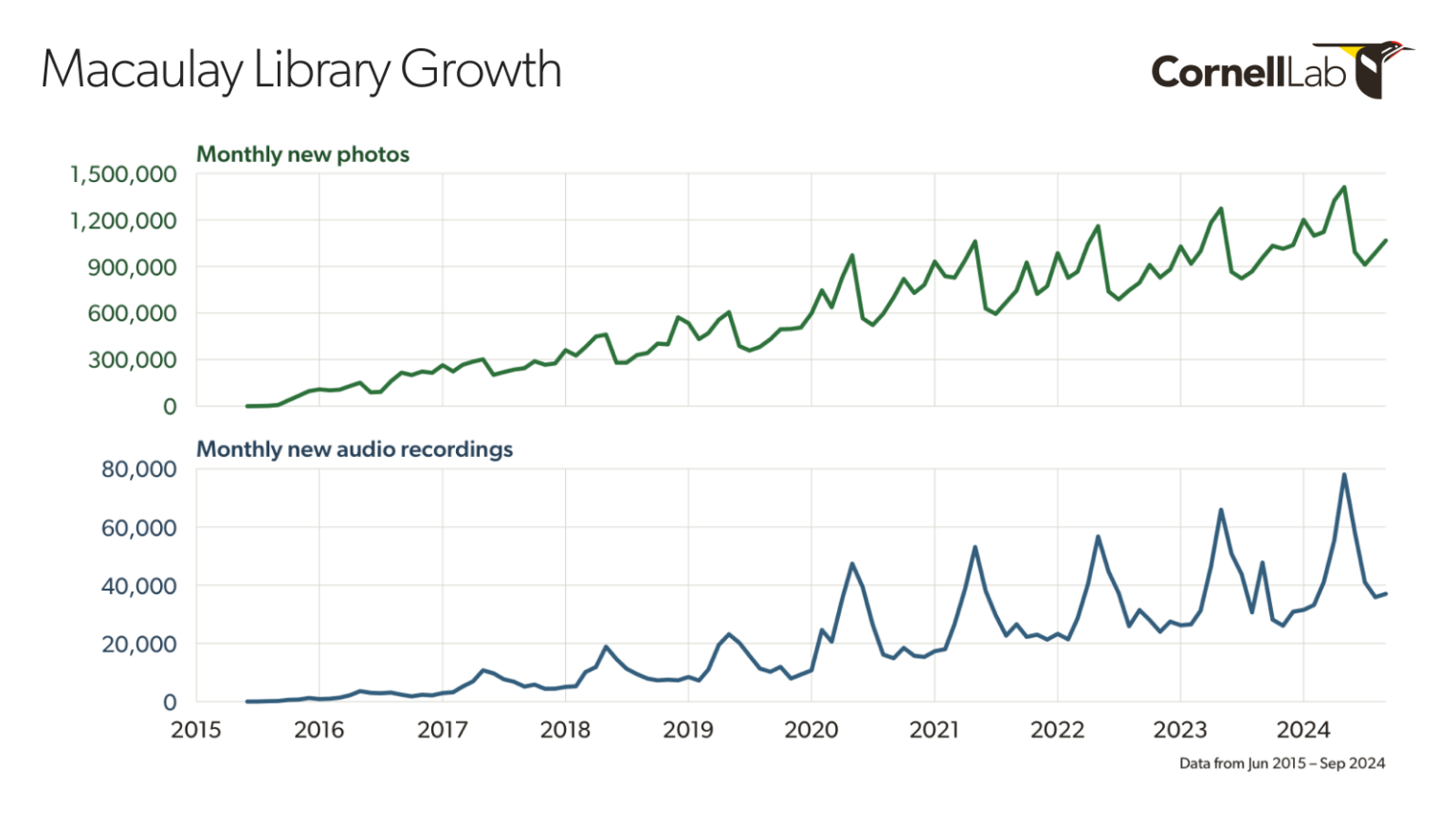 2024 Year in Review: eBird, Merlin, Macaulay Library, and Birds of the ...
