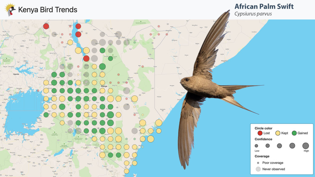 eBird - Discover a new world of birding...