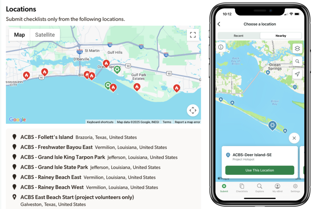 Introducing eBird Projects - eBird