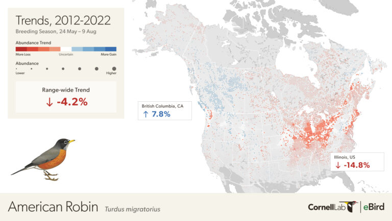 eBird Science