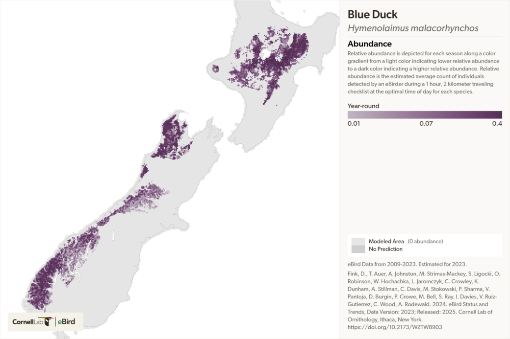 Expanded eBird Status Insights for More Species Worldwide - eBird