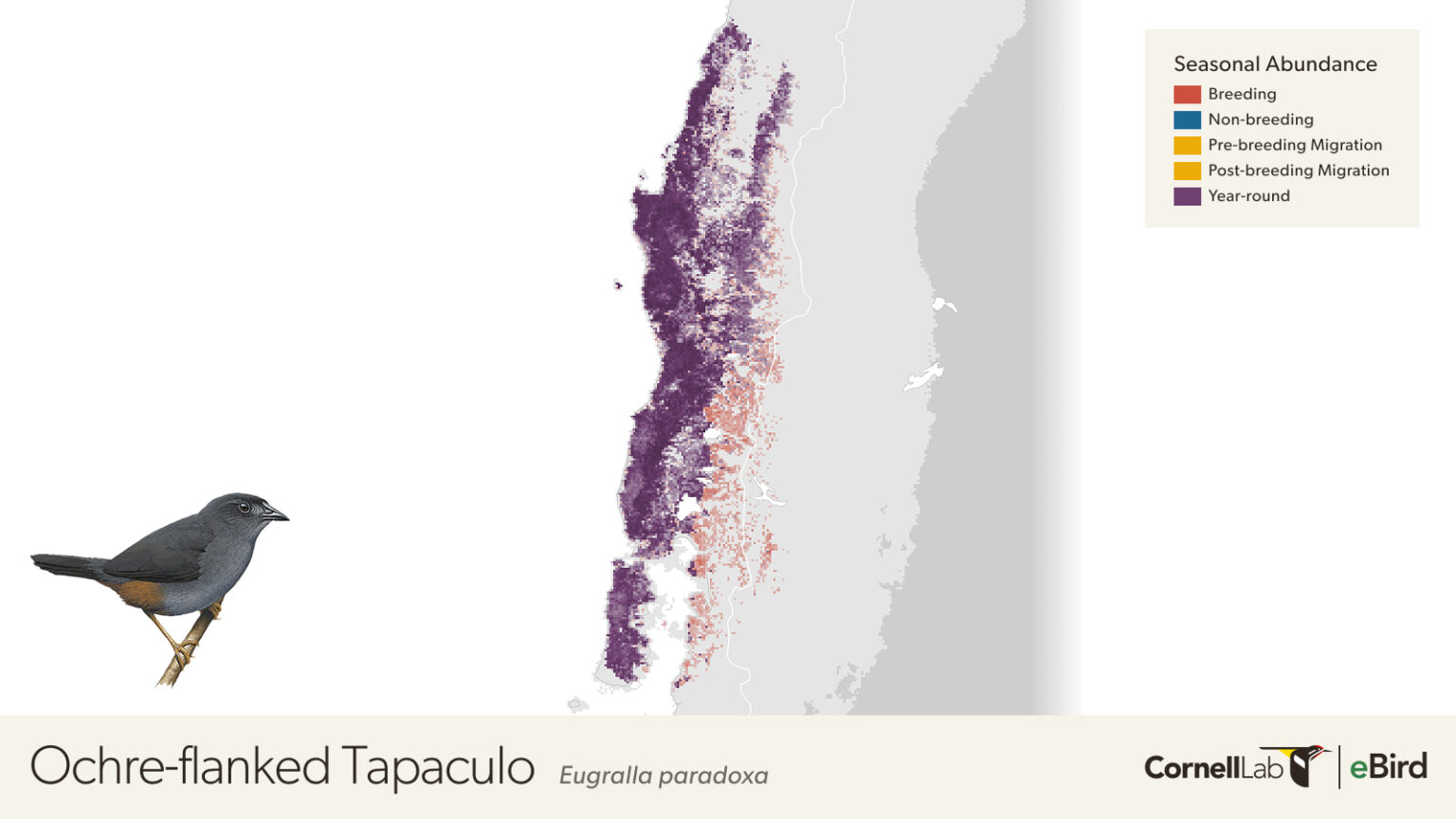 eBird - Discover a new world of birding...