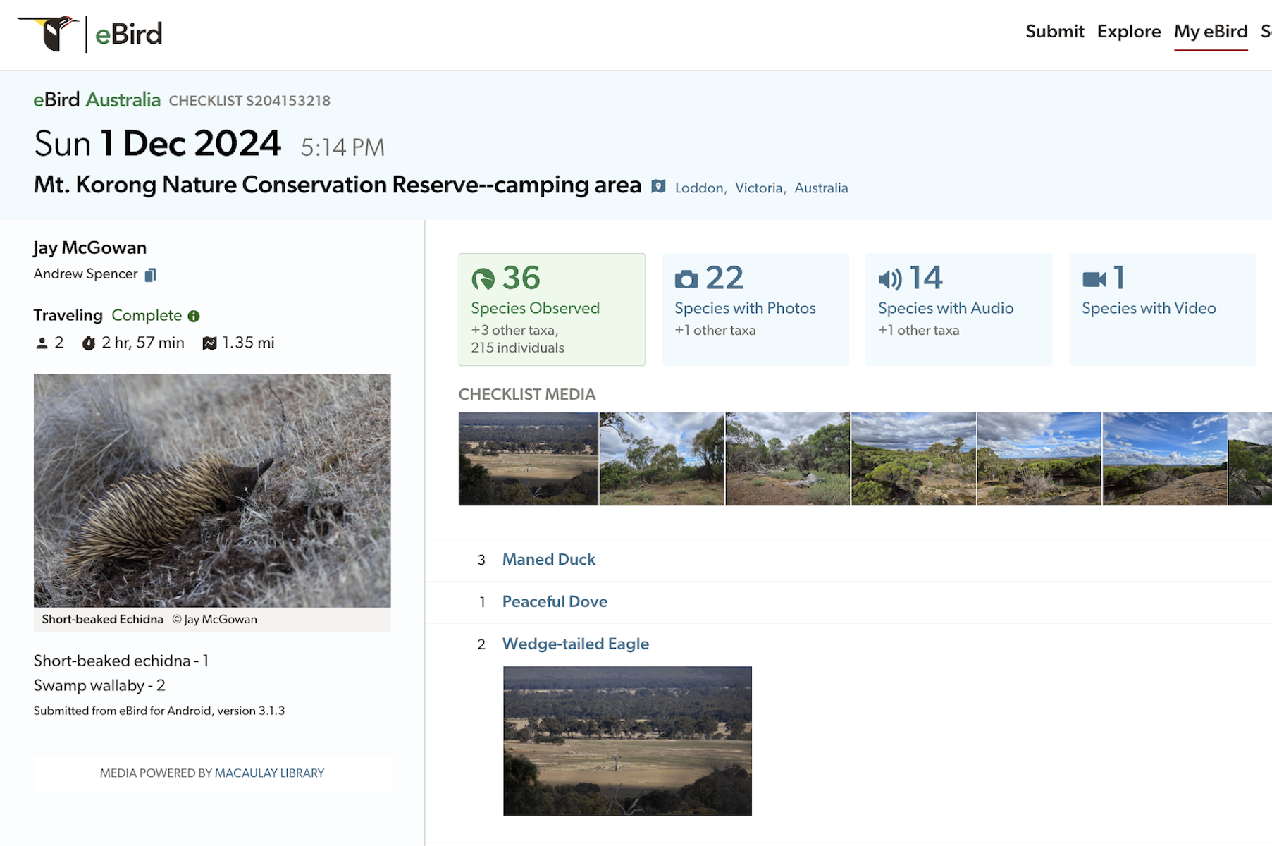 Feature Photos and Reorder Media on Your eBird Checklists - eBird