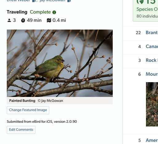 Feature Photos and Reorder Media on Your eBird Checklists - eBird