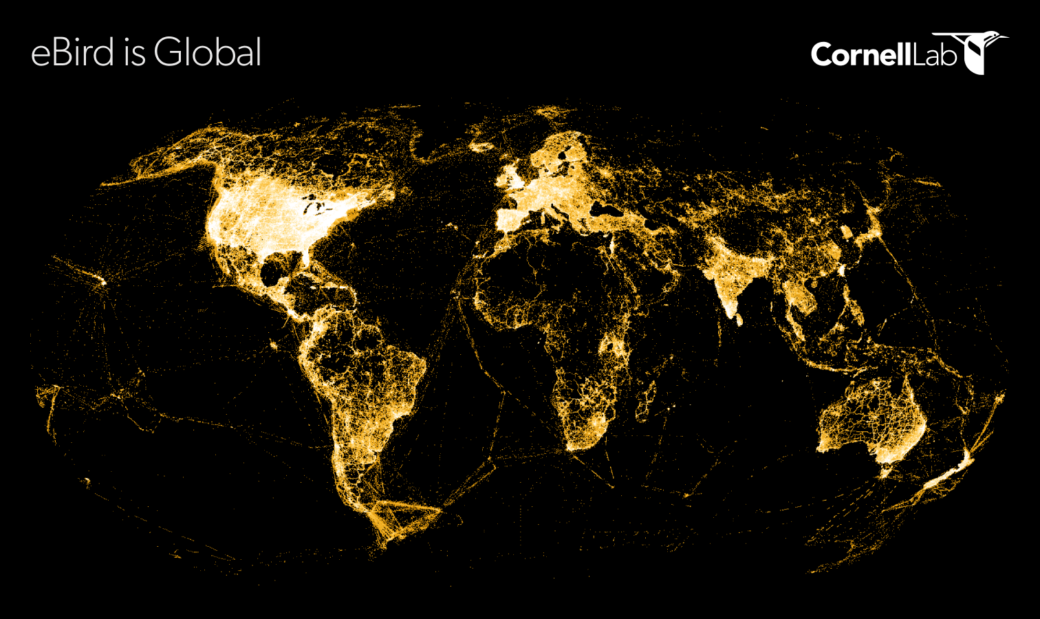 eBird Passes 2 Billion Bird Observations - eBird