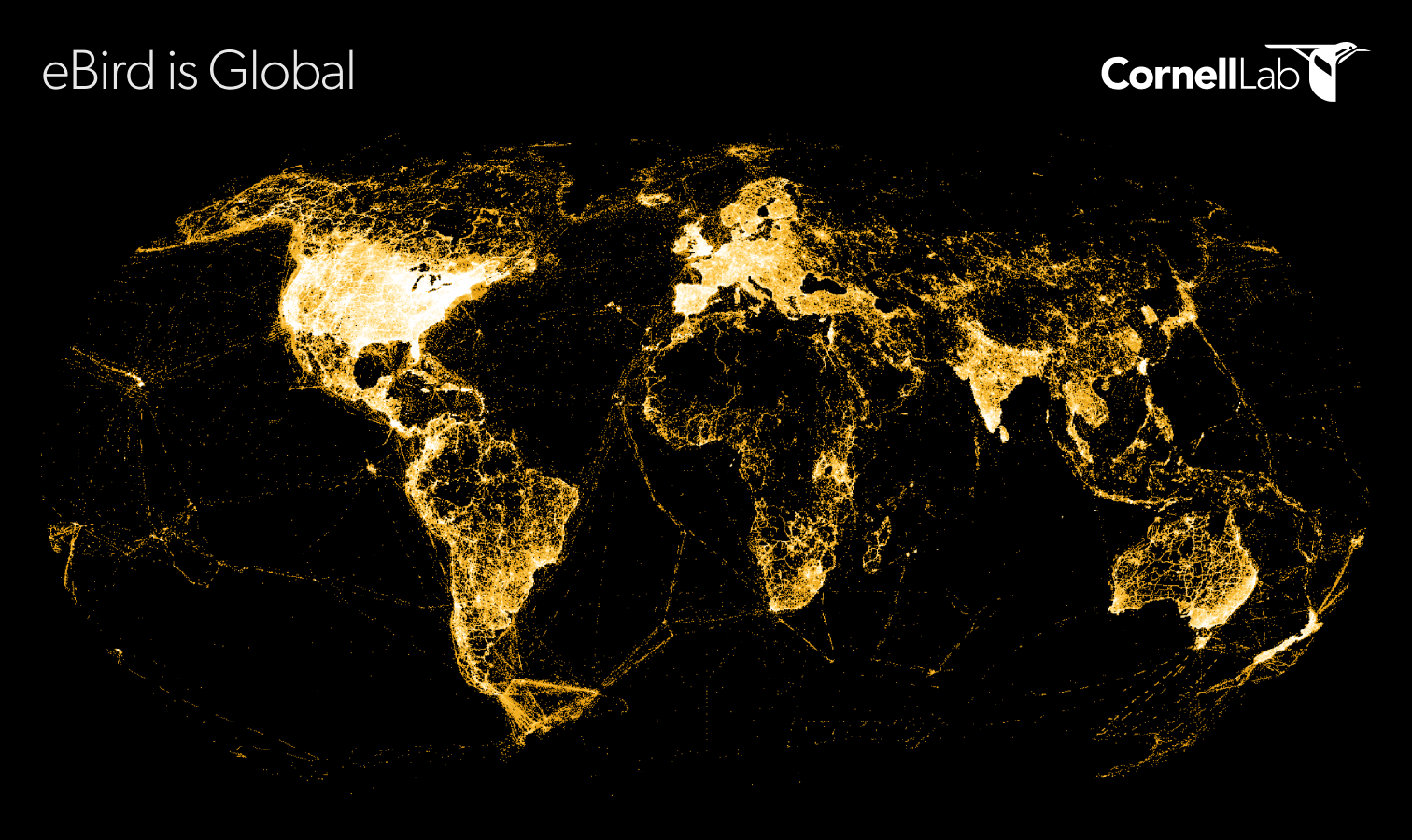 eBird Passes 2 Billion Bird Observations - eBird