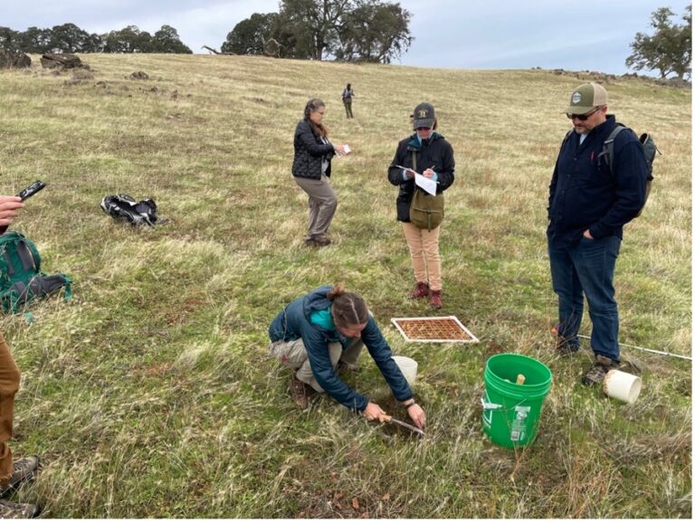 eBird - Discover a new world of birding...