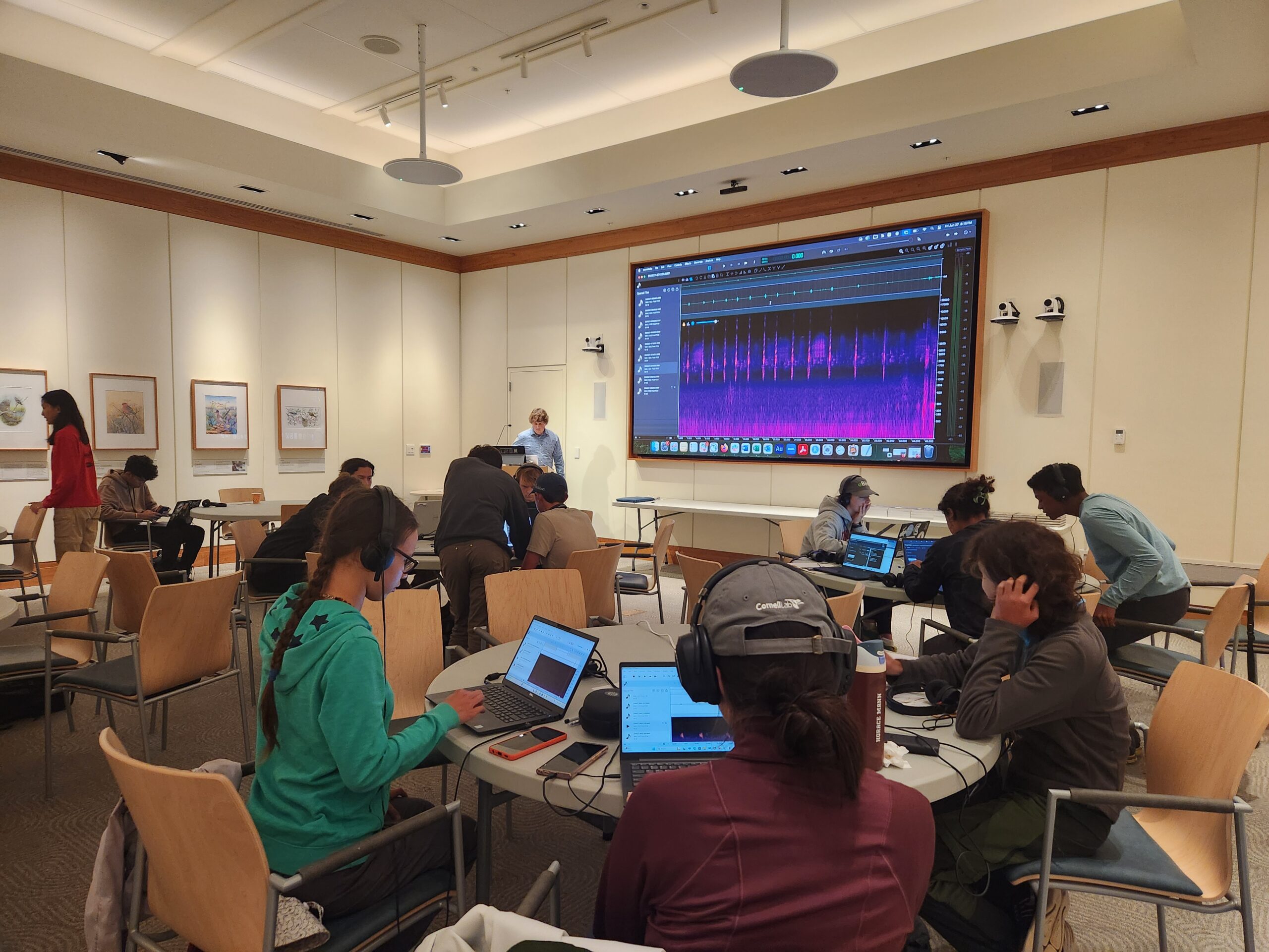 2025 Year in Review: eBird, Merlin, Macaulay Library, and Birds of the ...