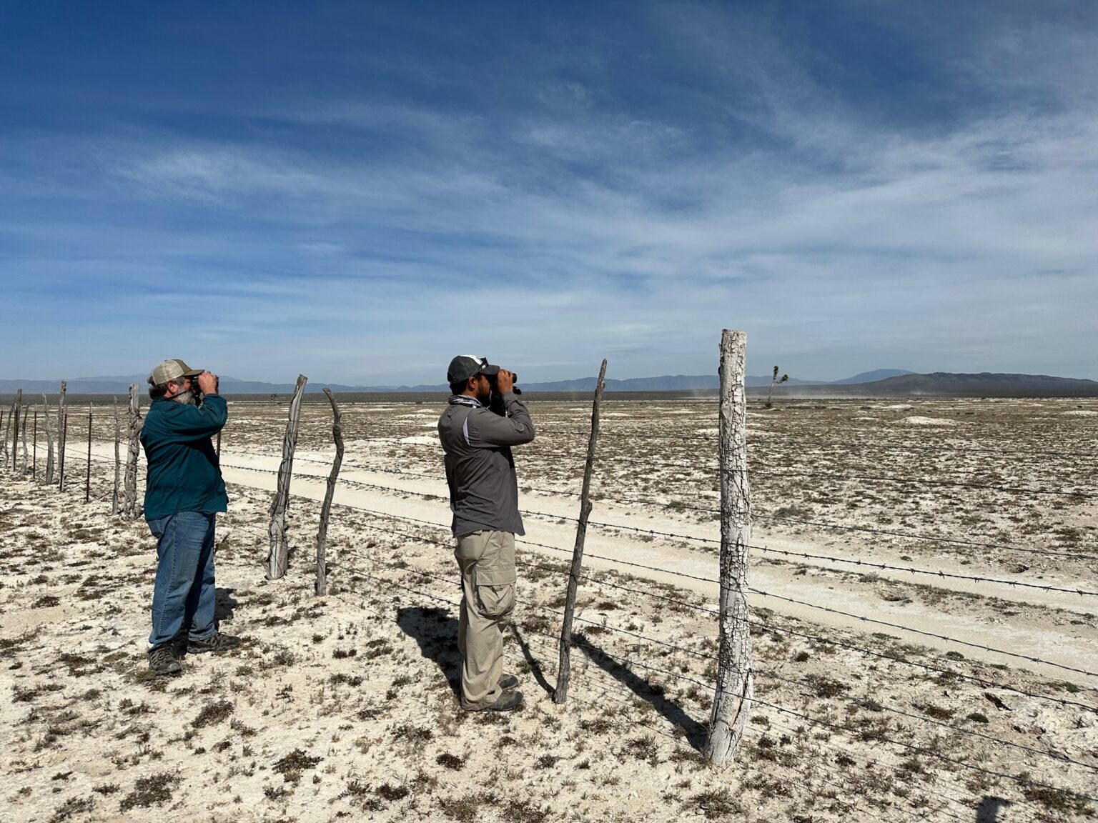 eBird - Discover a new world of birding...