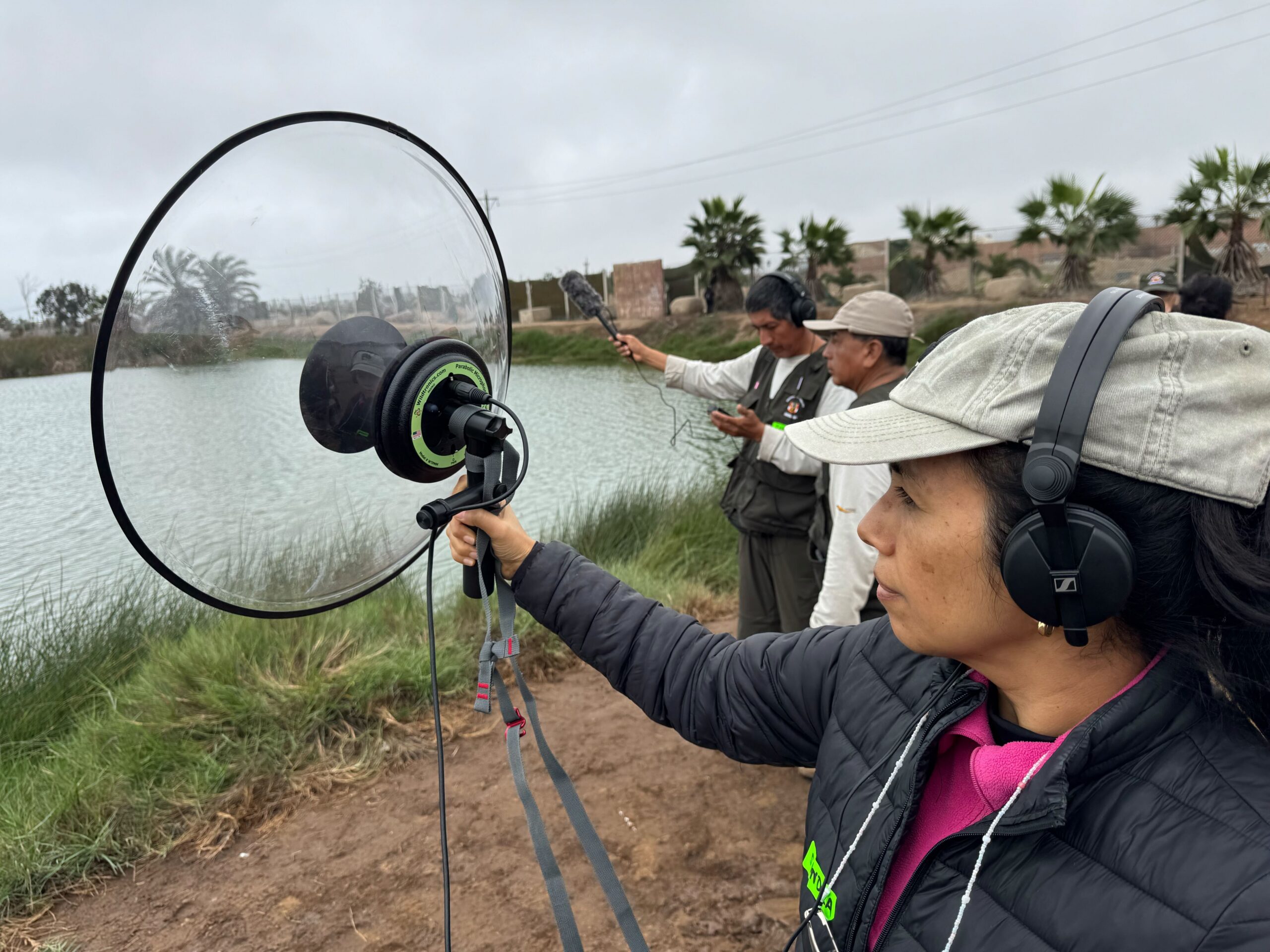 2025 Year in Review: eBird, Merlin, Macaulay Library, and Birds of the ...