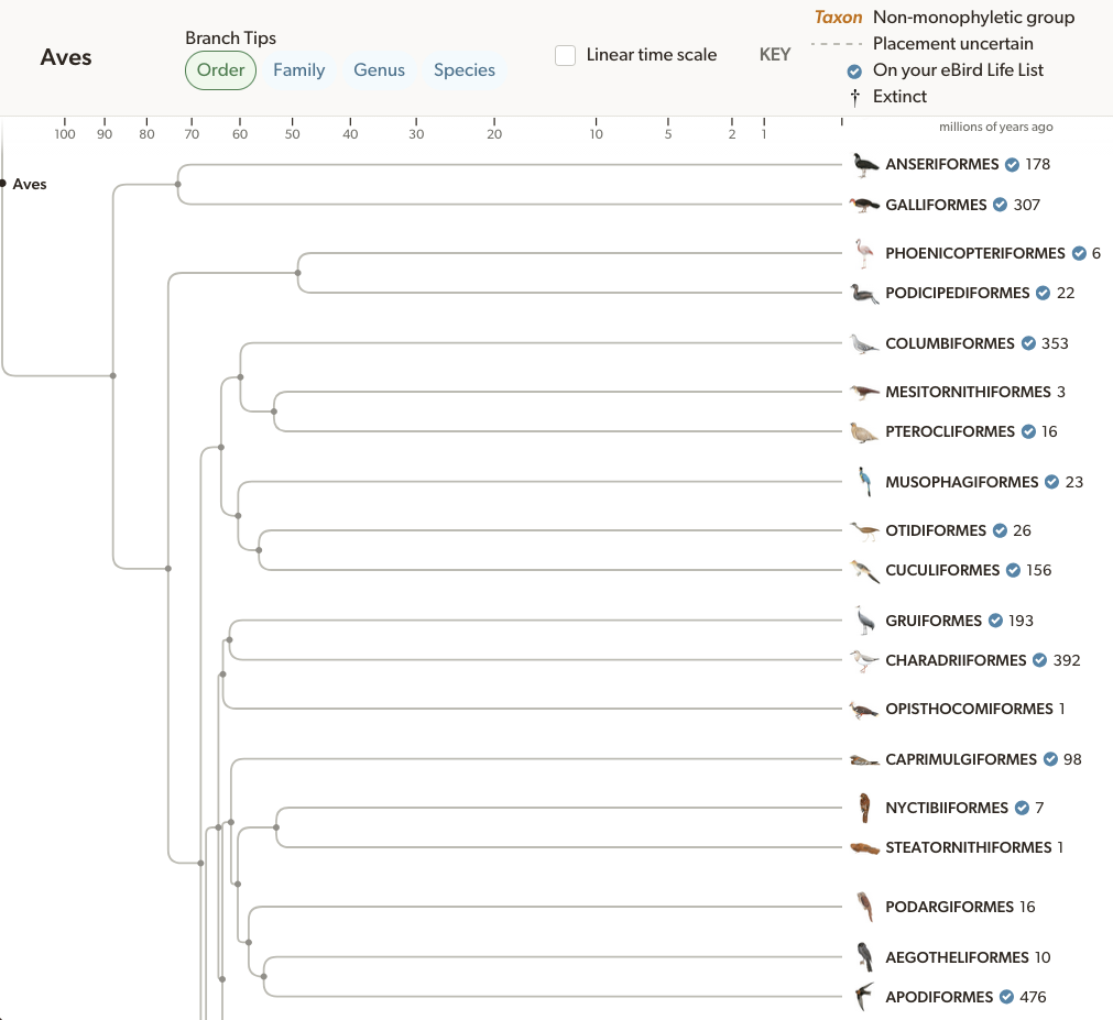 Explore the Evolutionary Diversity of your Life List with the Birds of ...