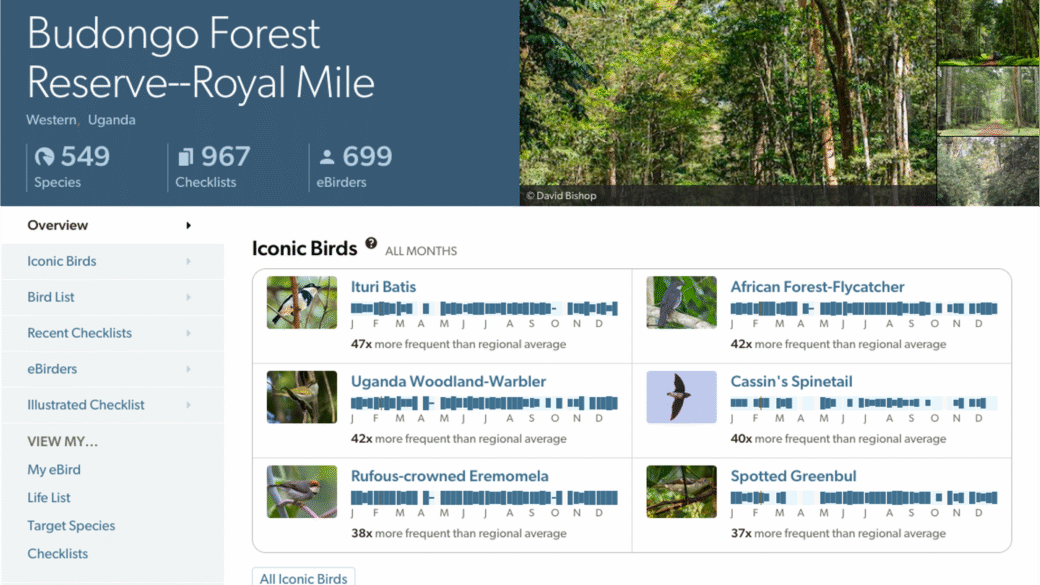 News - eBird