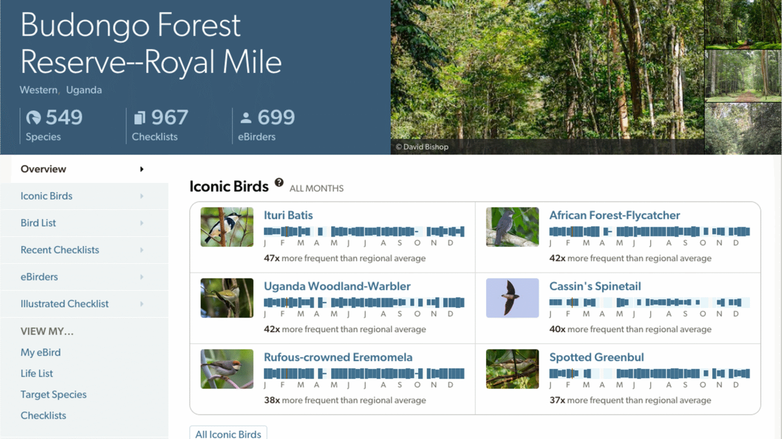 eBird - Discover a new world of birding...