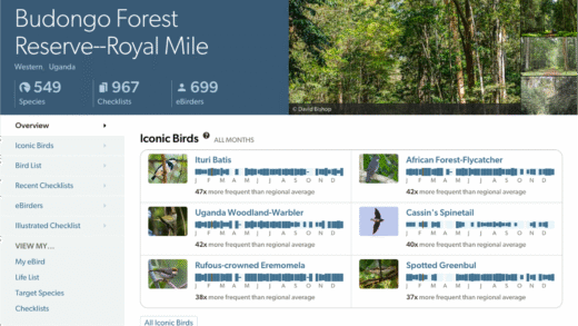 eBird - Discover a new world of birding...