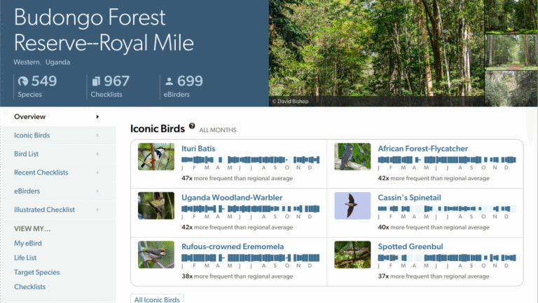 eBird - Discover a new world of birding...
