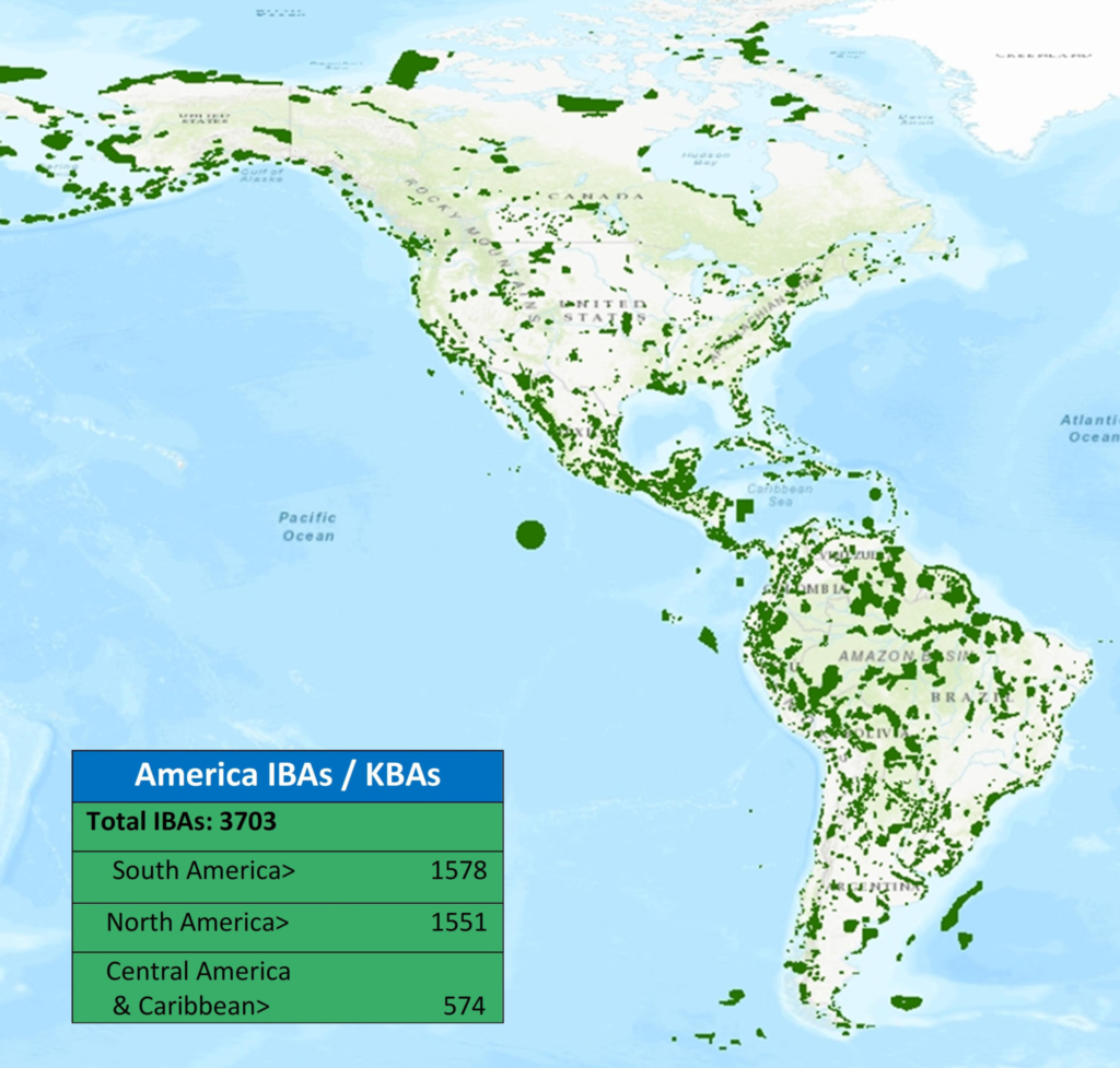 Avanzando en la conservación de las aves playeras con herramientas ...