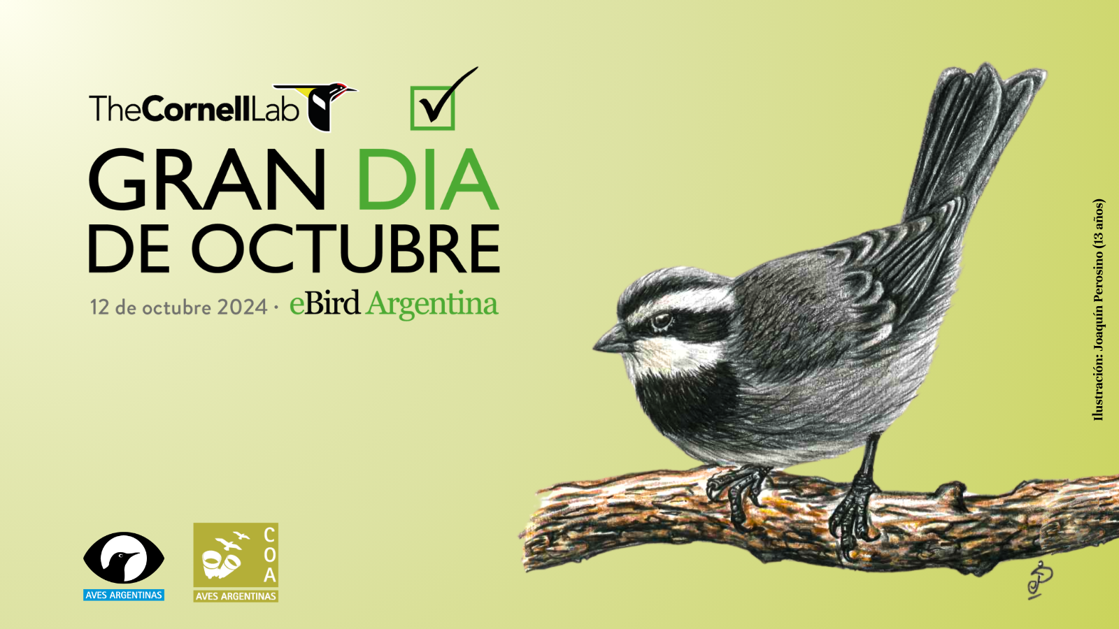 Gran Día de Octubre 2024 - ¡Alcanzando nuevas fronteras! - eBird Argentina