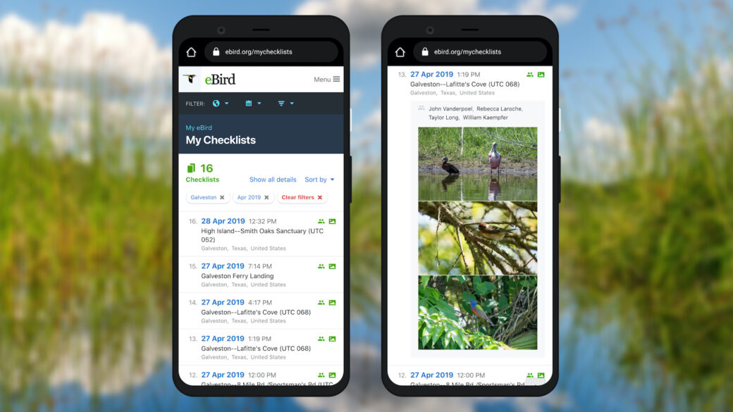 More options to manage your checklists on any device - eBird Australia