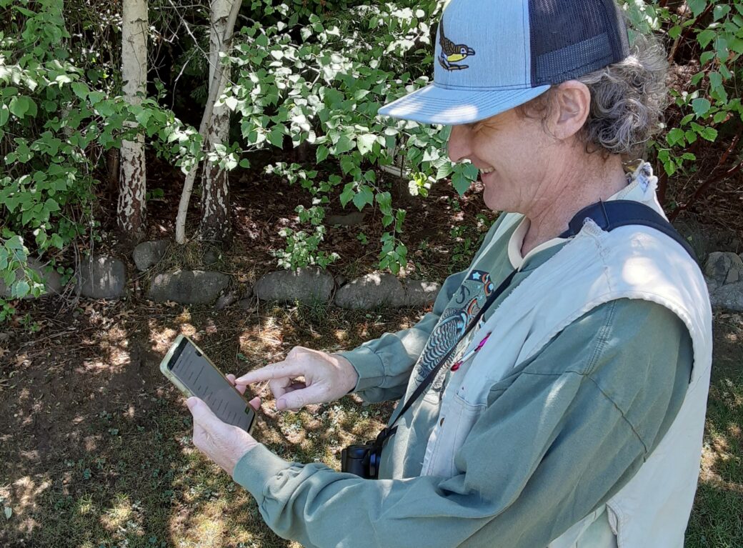 A Call for Community Science Projects - eBird Washington