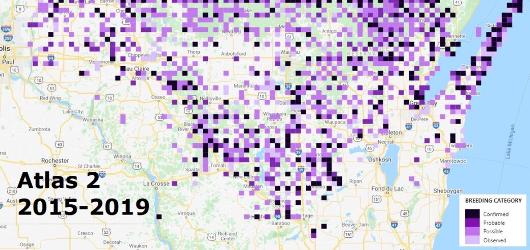 Atlas reveals the return of the raven - Wisconsin Breeding Bird Atlas