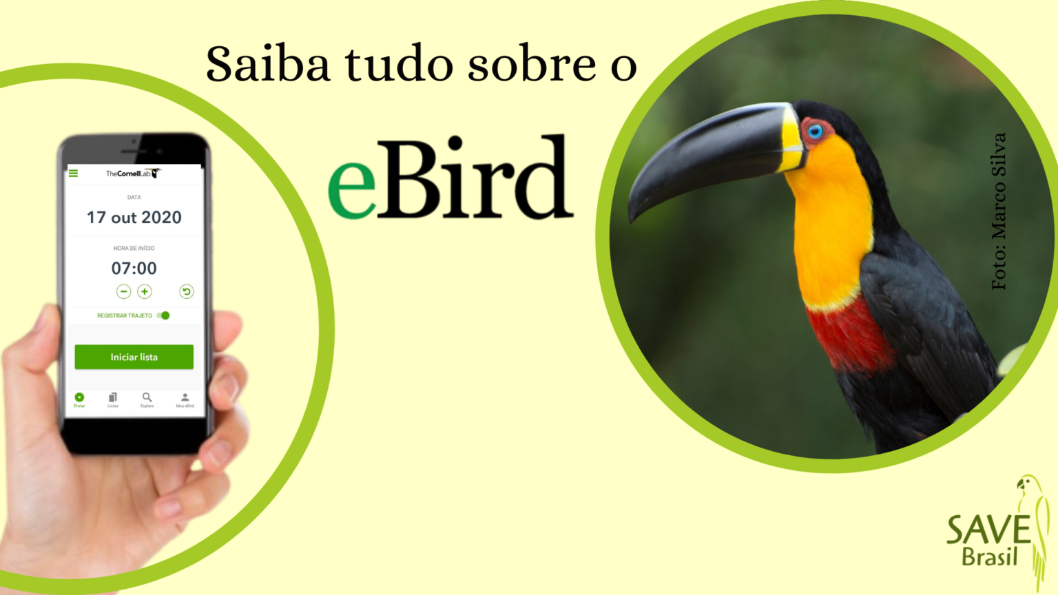 Tire suas dúvidas sobre o eBird nessa coleção de vídeos criados pelos ...