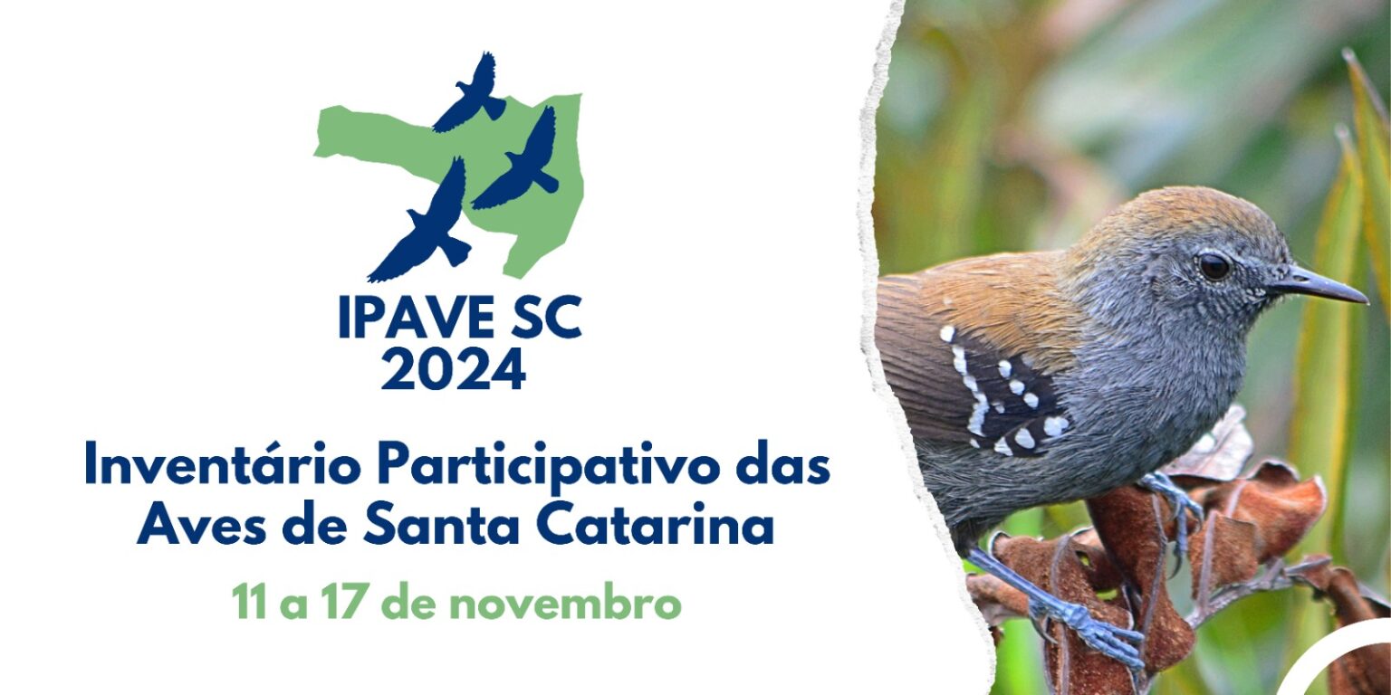 Inventário Participativo das Aves de Santa Catarina - eBird Brazil
