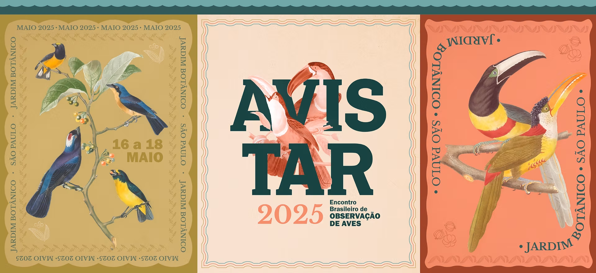 Avistar 2025: 18° Encontro Brasileiro de Observação de Aves - eBird Brazil
