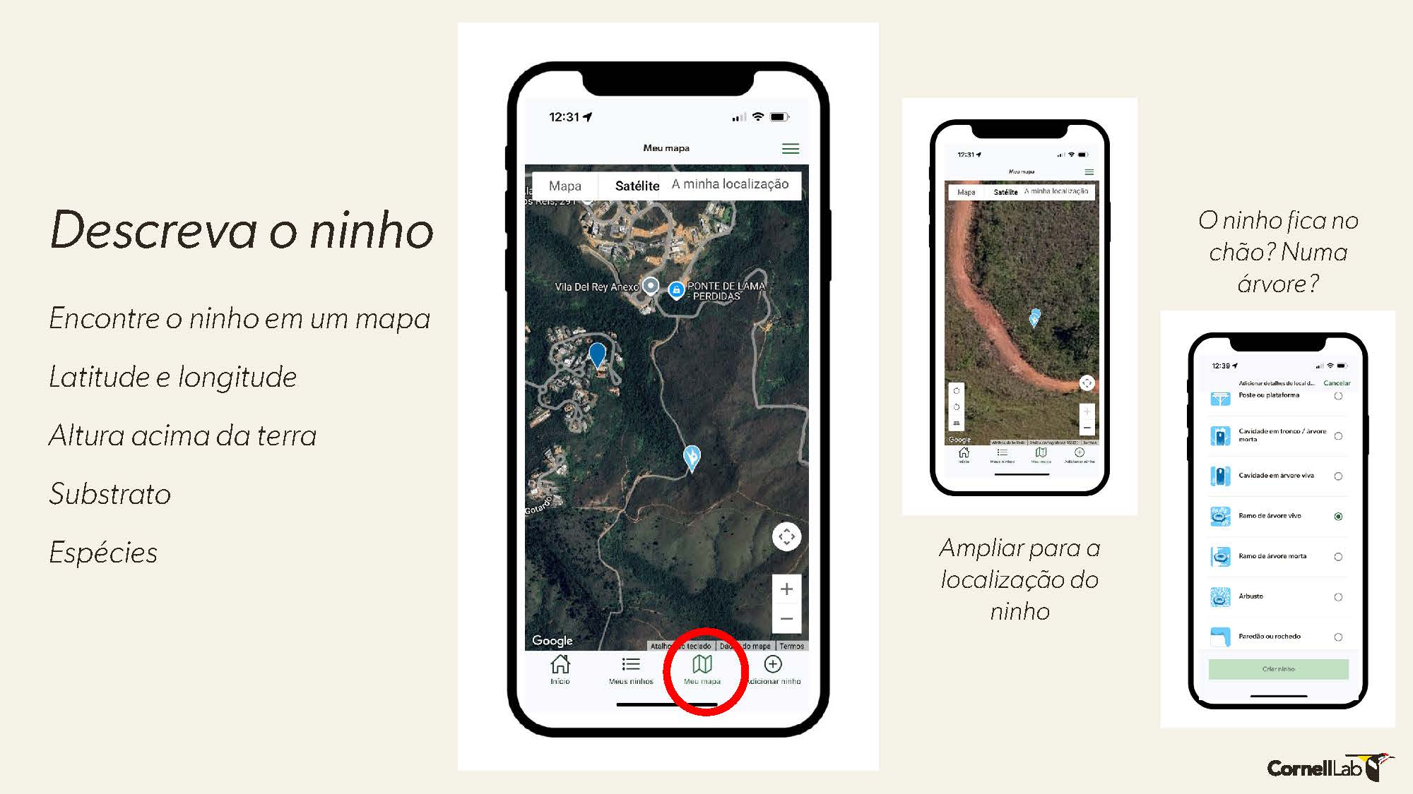 NestWatch: o aplicativo que te ajuda a monitorar ninhos - eBird Brazil