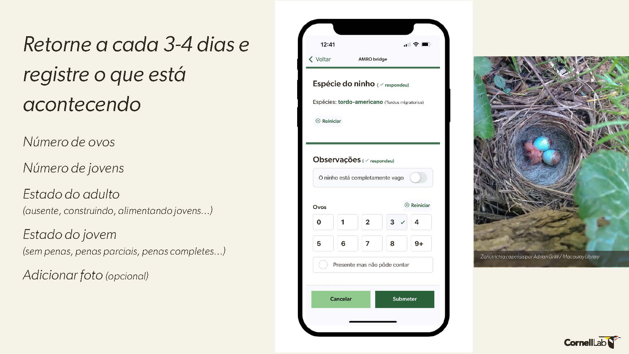 NestWatch: o aplicativo que te ajuda a monitorar ninhos - eBird Brazil