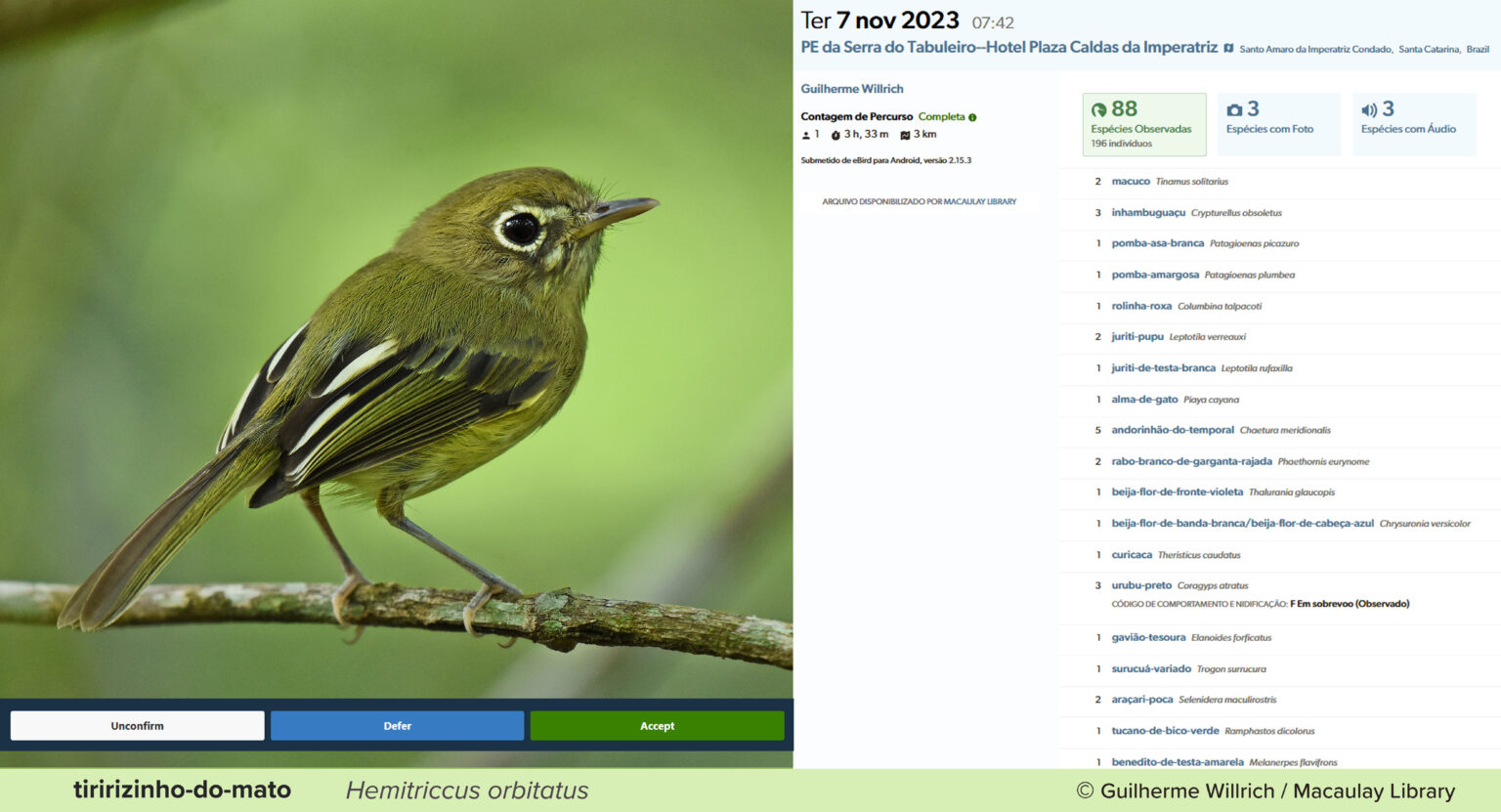 Açu, Rio Grande do Norte, Brazil - eBird