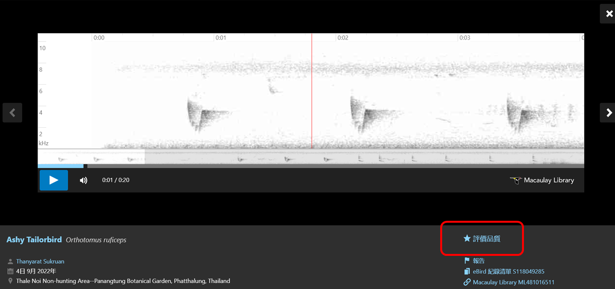 2024 eBird十二月挑戰 - eBird Taiwan