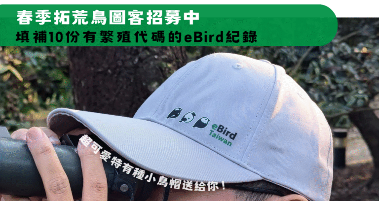 2026春季拓荒鳥圖客 招募中 - eBird Taiwan