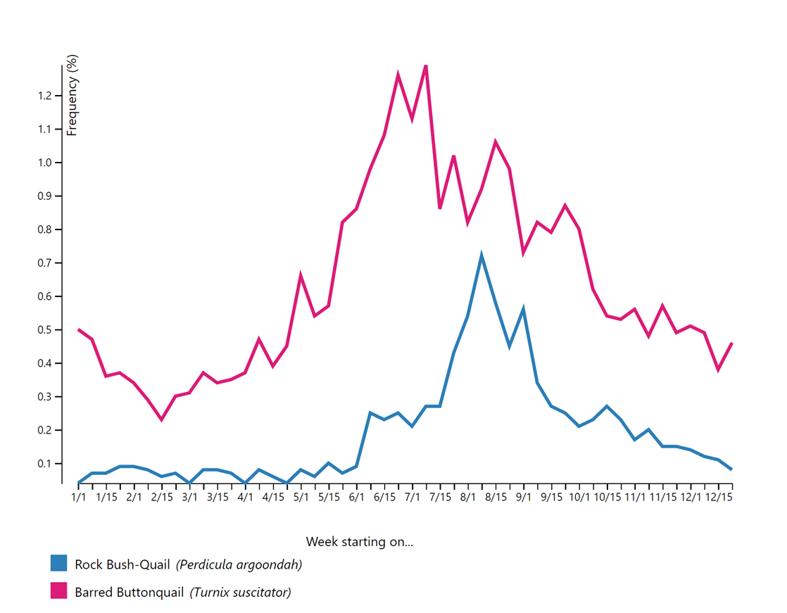 Whats on in August - eBird India