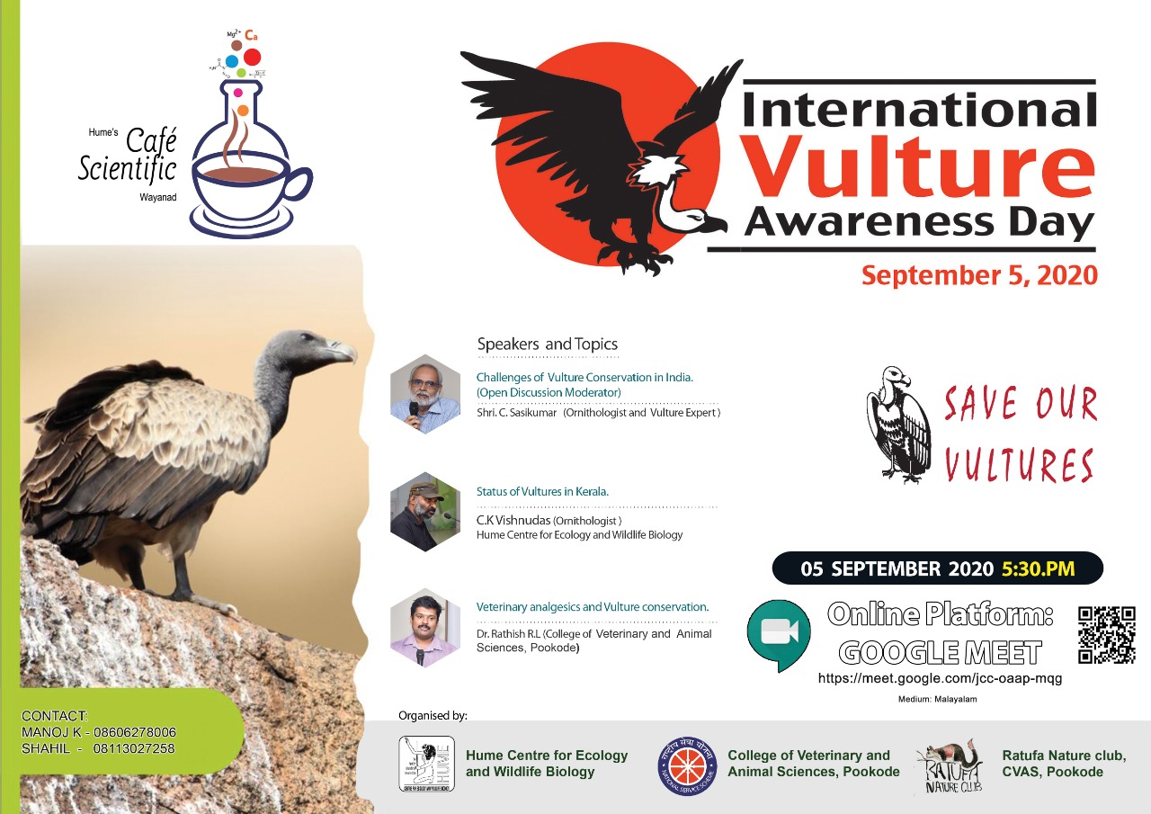 Whats on in September - eBird India