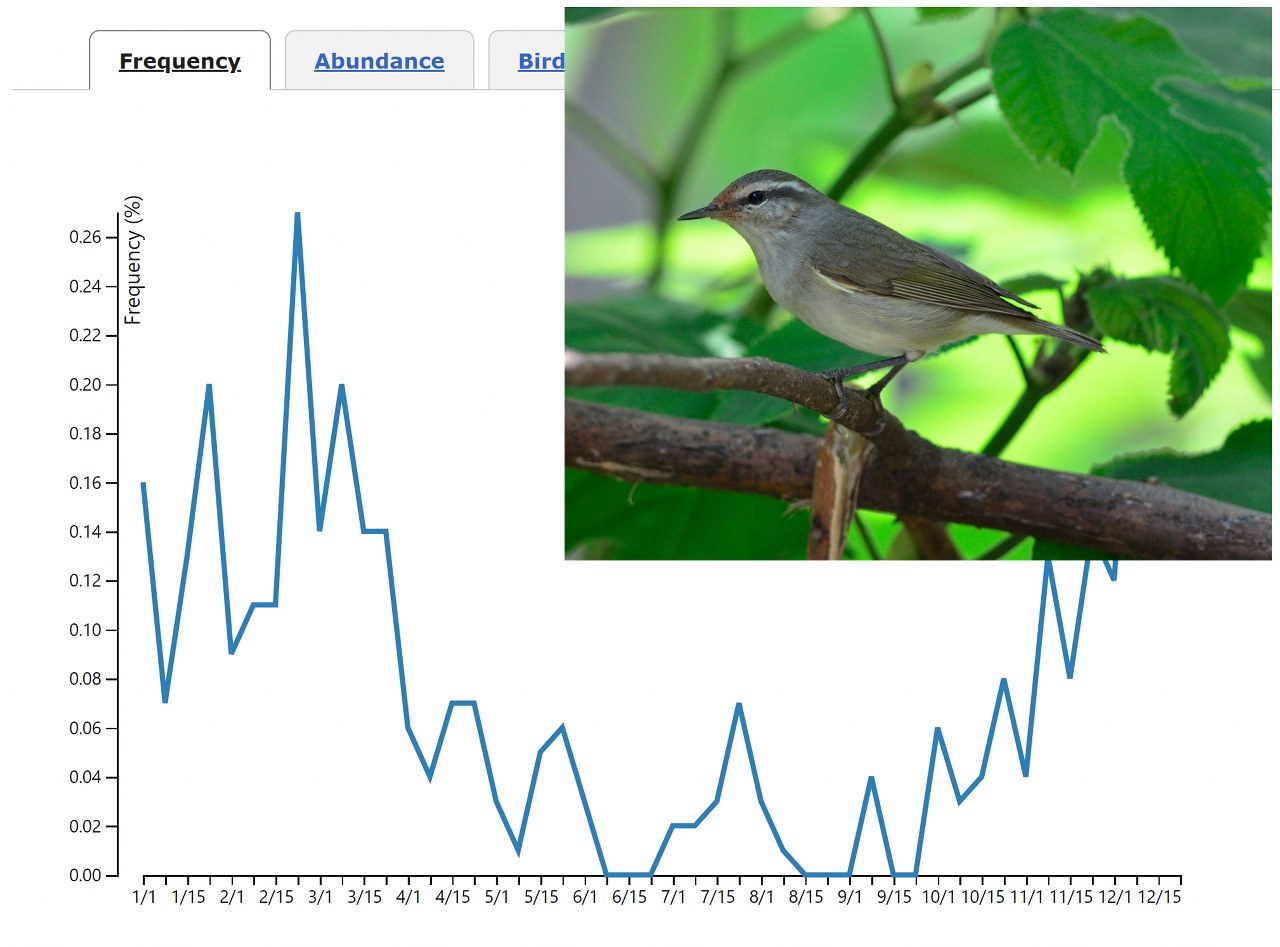 What's On in April - eBird India