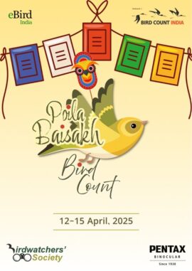 What's On in April - eBird India