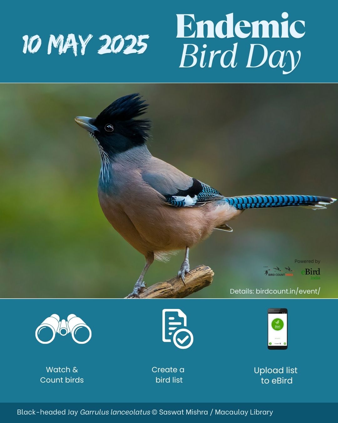 What's On in May - eBird India