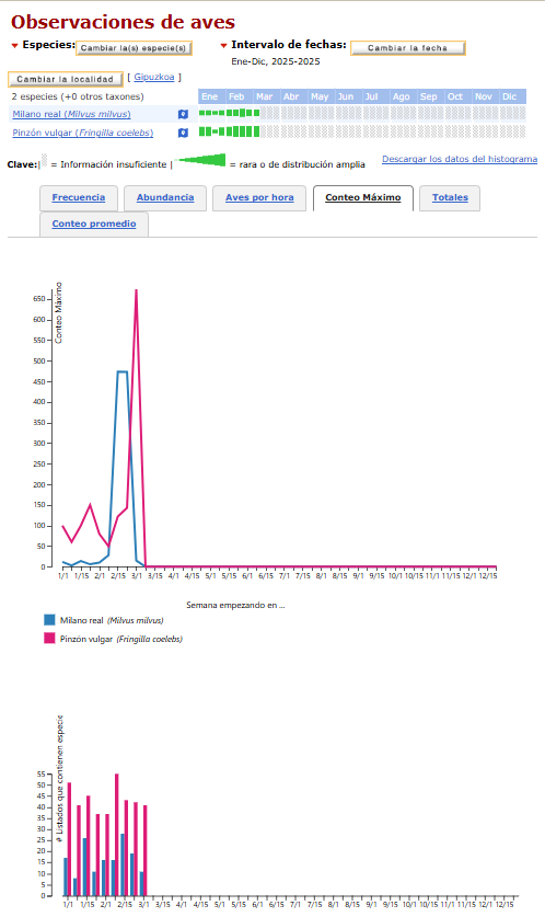 Espectáculo migratorio por la costa del País Vasco de milanos reales (Milvus milvus) y pinzones ...