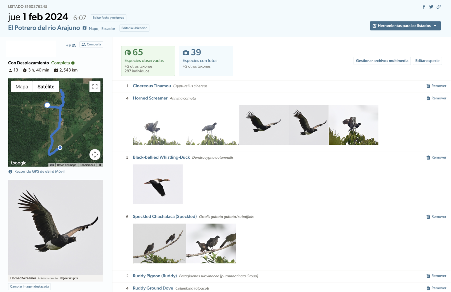 Destaca tus fotos y reorganiza el material multimedia en tus listas de eBird - eBird Spain