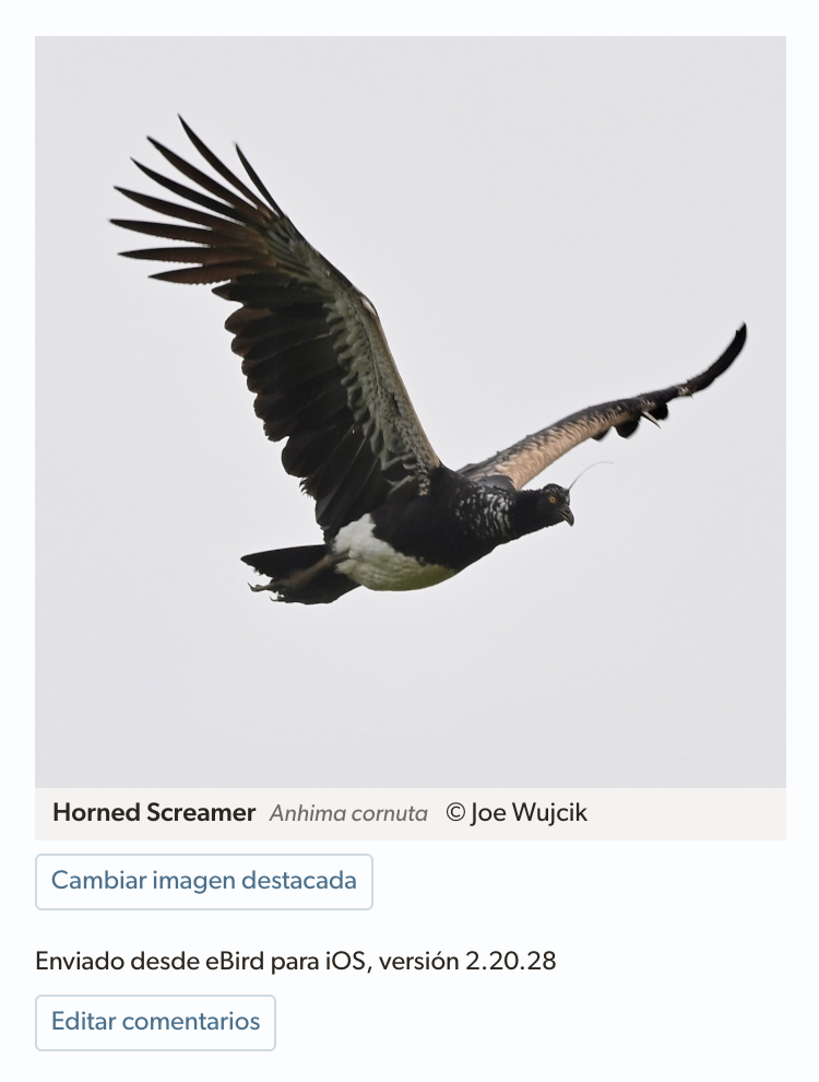 Destaca tus fotos y reorganiza el material multimedia en tus listas de eBird - eBird Spain